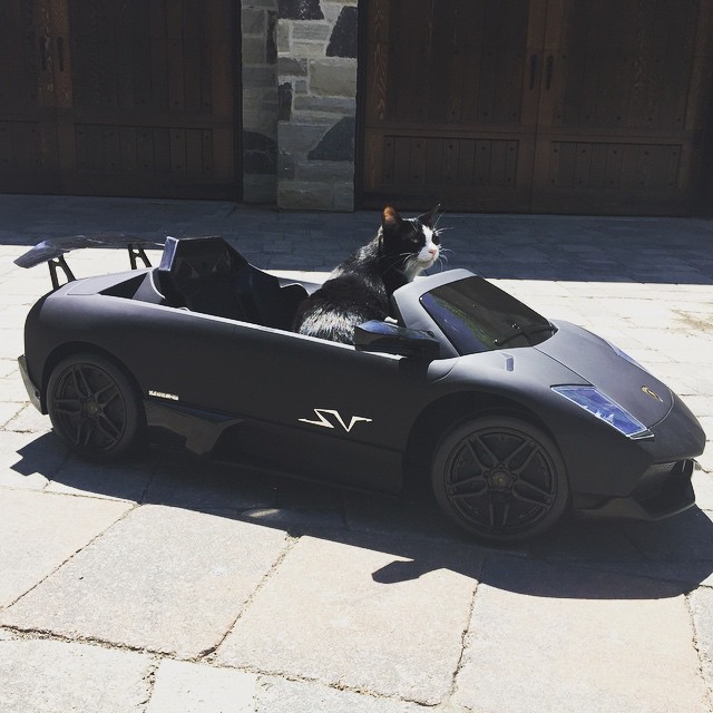 Celebrity Cars BlogDeadmau5’s Cat Has His Own Lamborghini - Celebrity ...